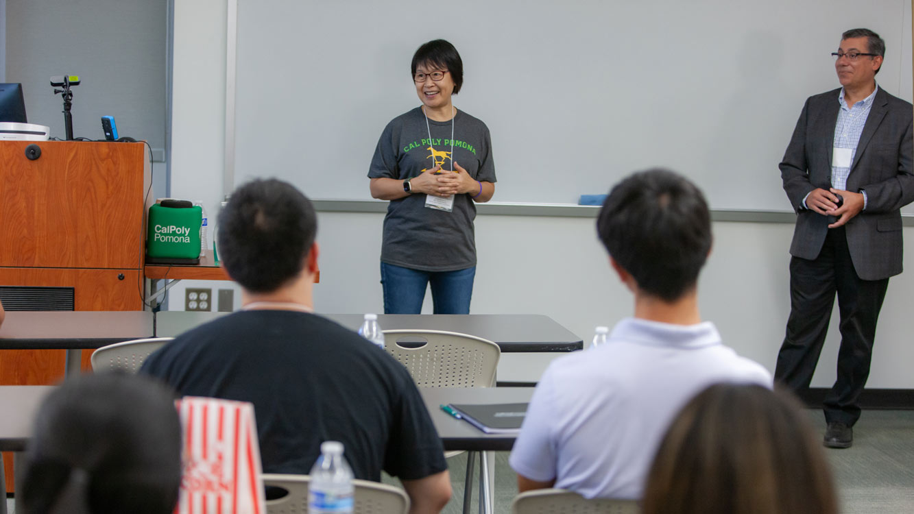 MSA - Master of Science in Accountancy