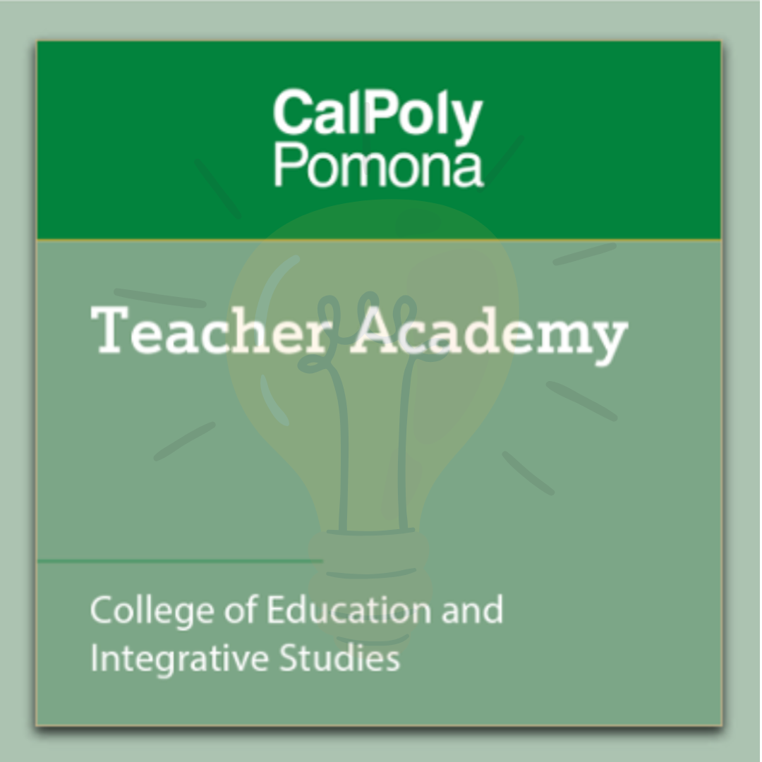 Teacher Academy