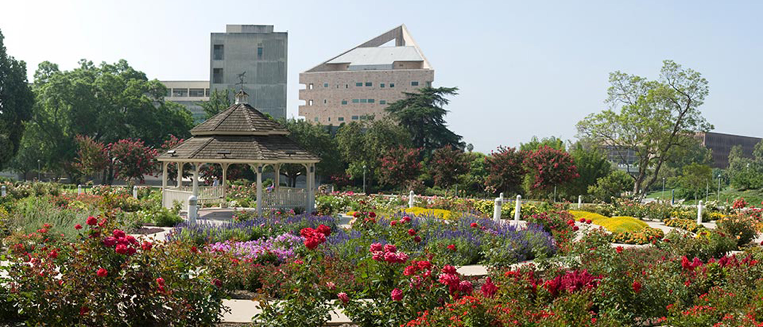 Program Dates and Fees