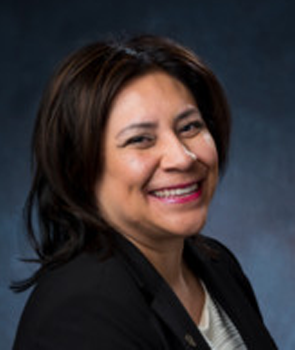 Meet the Project Team