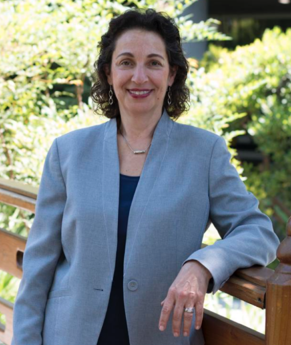 Meet the Project Team