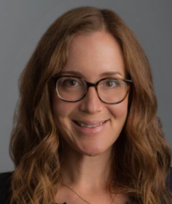 Meet the Project Team