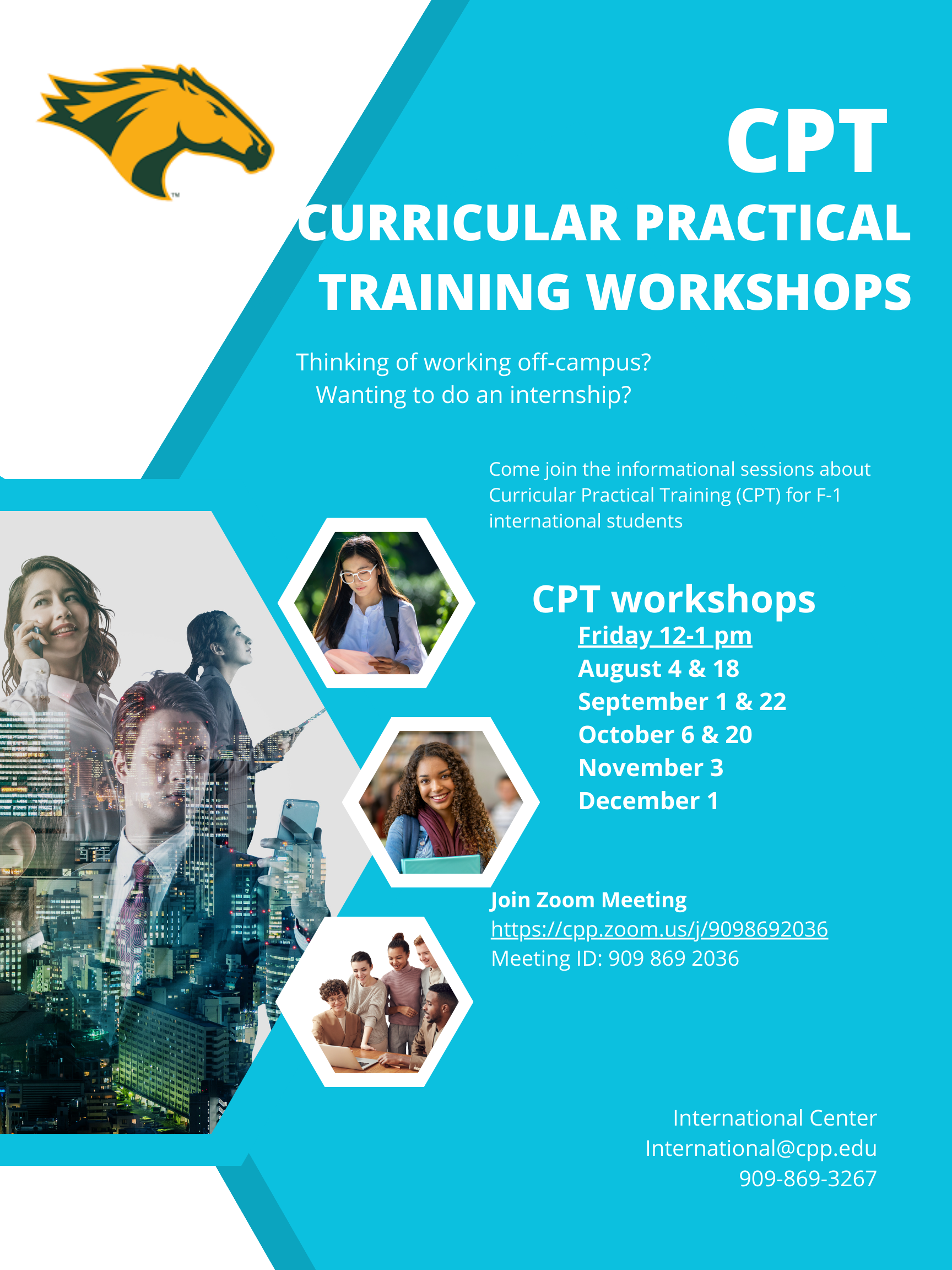 Curricular Practical Training Workshops
