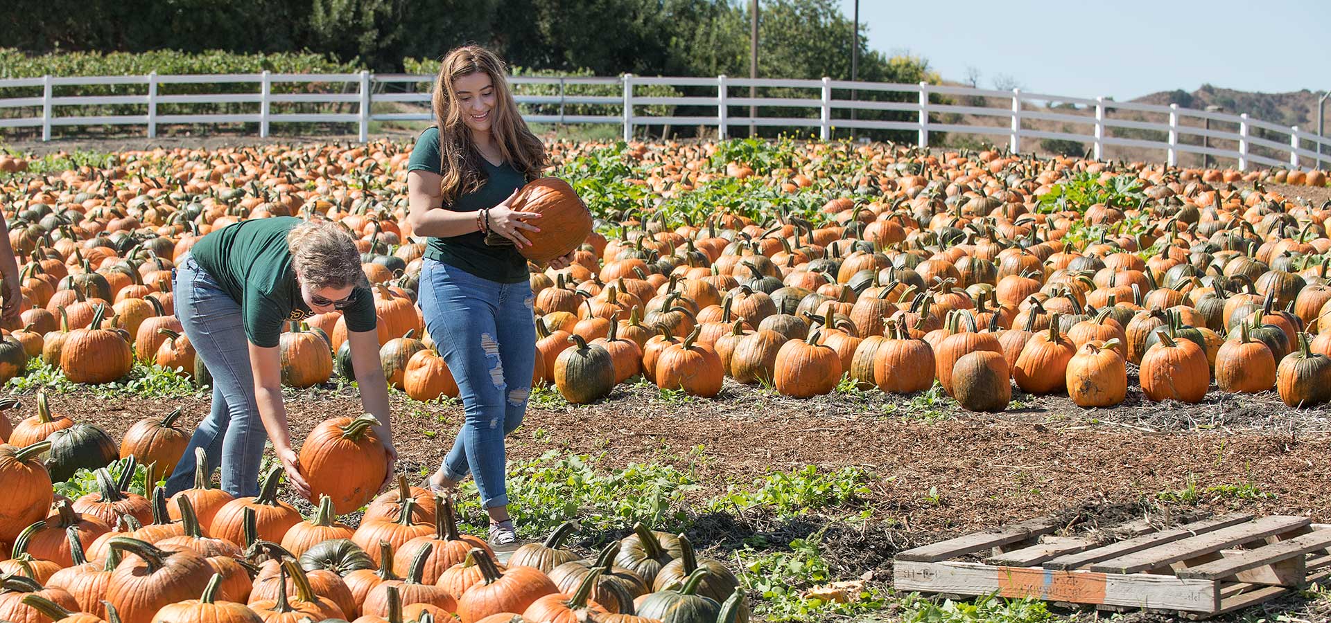 Part Two of Student Must-Do List Includes Rose Float Building, Arabian Horses - PolyCentric