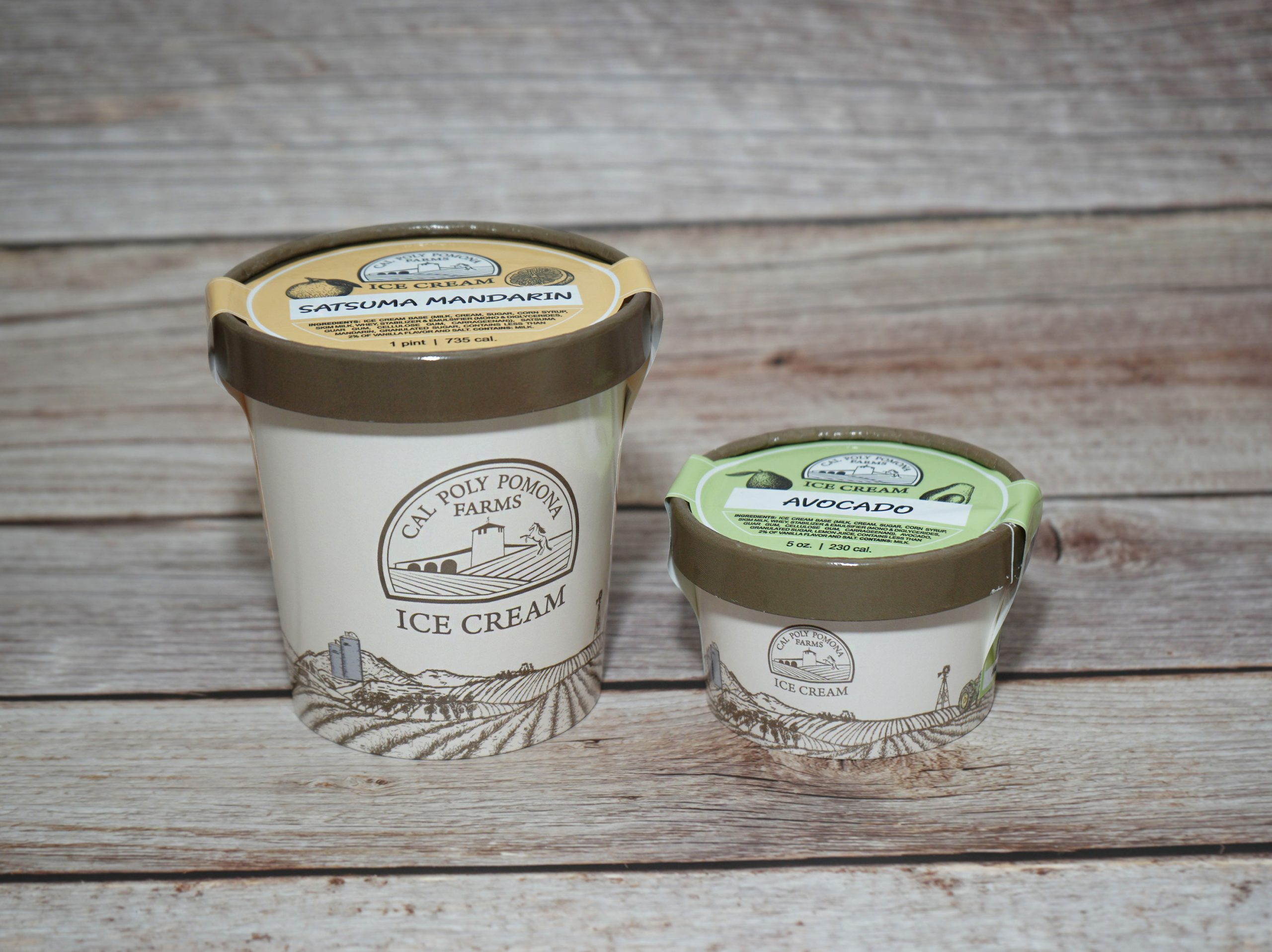 Cool Customers Can Savor CPP's New Ice Cream Flavors - PolyCentric