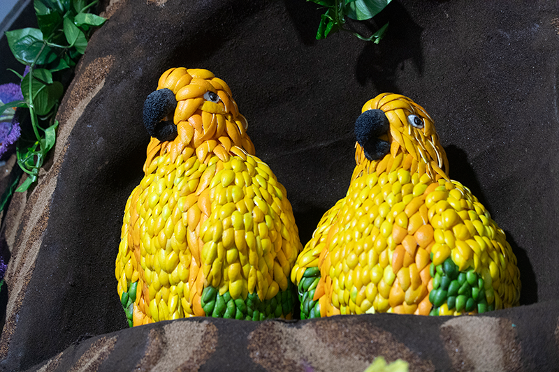 Revving ‘Jungle Jumpstart’ to Life for 2026 Rose Parade