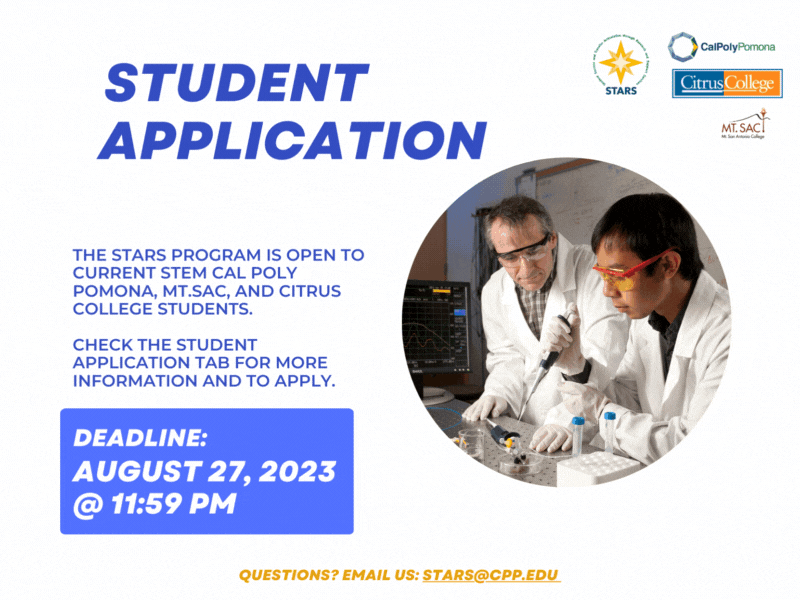 Student Success and Transfer Articulation through Research and Support ...