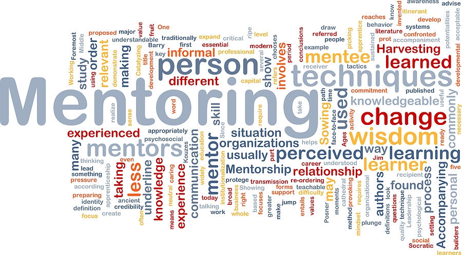 Mentoring Guidelines