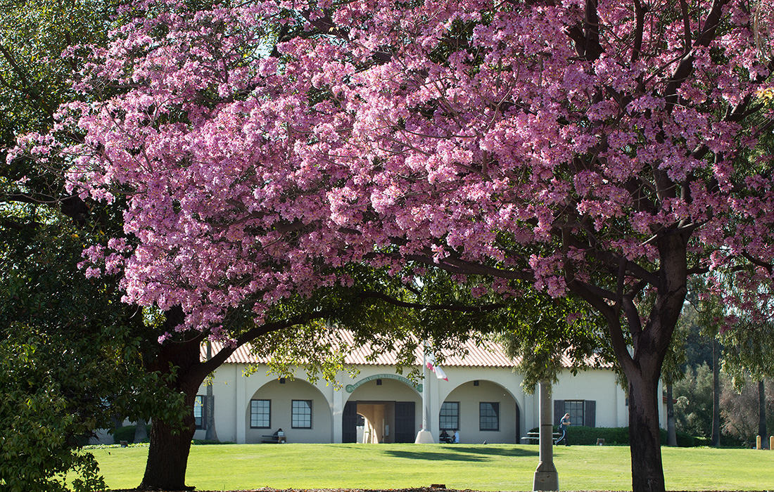 Strategic Communications - Cal Poly Pomona